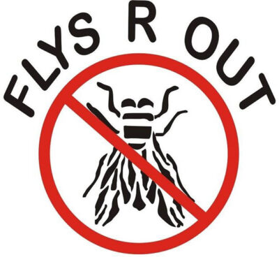 Window Flyscreens | Flys R Out